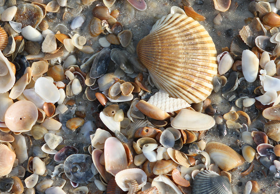 Pew Sheet for 25 July – Saint Stephen’s Cheltenham